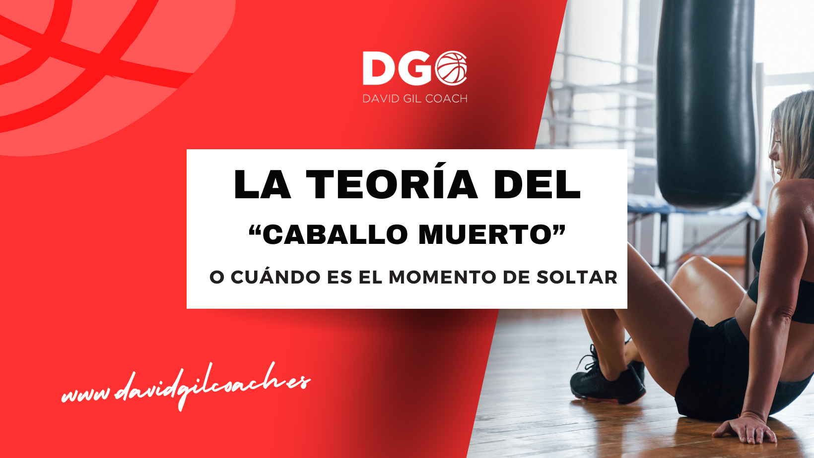 La "Teoría del Caballo Muerto" o cuándo es el momento de soltar - David ...